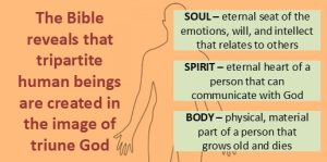 Tripartite Human Beings are Created in the Image of Triune God ...
